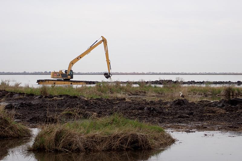 Coastal Wetland Restoration | The Climate Tech Handbook