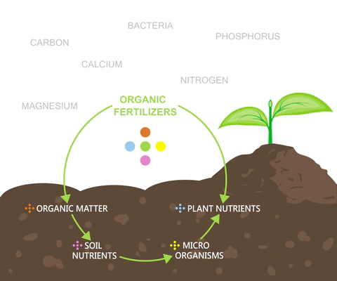 Nutrient Management | The Climate Tech Handbook